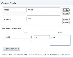 How to use WordPress Custom Fields - Kriesi.at - Premium WordPress Themes