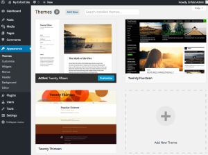 WordPress Beginners: How to Start With Enfold From Scratch - Kriesi.at - Premium WordPress Themes